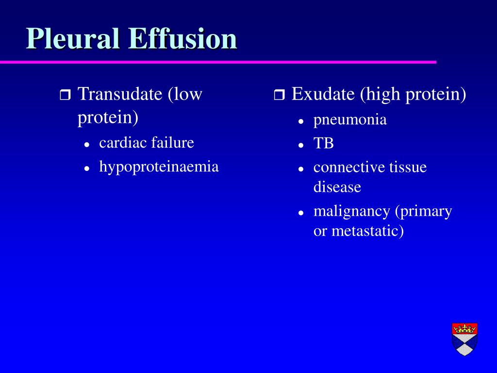 PPT - 1.Pulmonary Vascular Disease 2.Pleural Disease PowerPoint ...