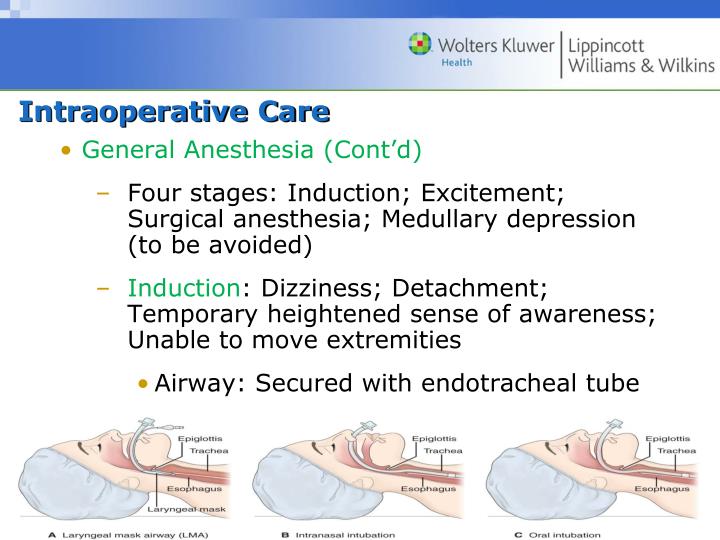 PPT - Timby/Smith: Introductory Medical-Surgical Nursing, 10/e ...