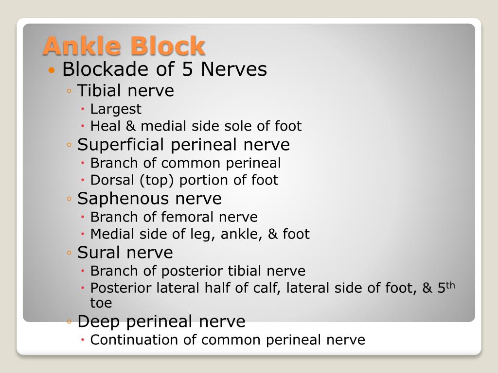 PPT - Regional Anesthesia Spinal &epidural Anesthesia Dr.hamidreza ...