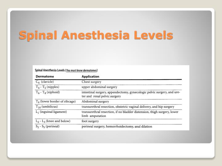 PPT - Regional Anesthesia Spinal &epidural Anesthesia Dr.hamidreza ...