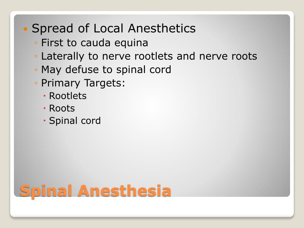 PPT - Regional Anesthesia Spinal &epidural Anesthesia Dr.hamidreza ...