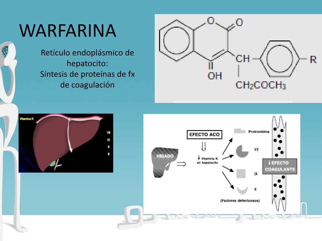 Mecanismo De Ação Da Varfarina - RETOEDU