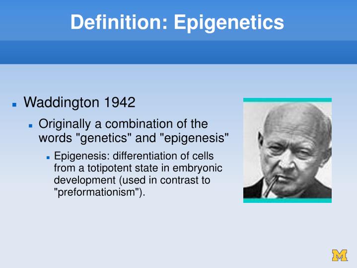 PPT - Epigenetics: ”From Phenomenon to Field” and Impact on Plastic ...