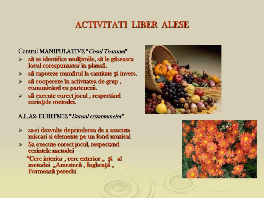 PPT - GRUPA FLUTURASILOR - NIVEL II STEP BY STEP ECHIPA DE EDUCATOARE ...