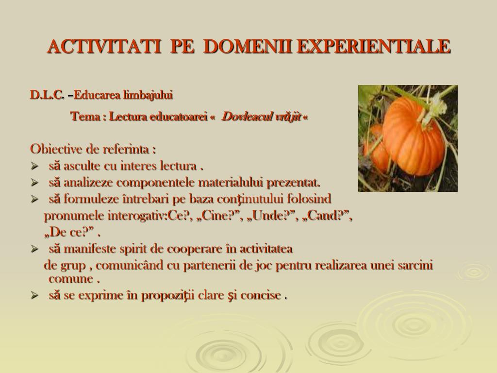 PPT - GRUPA FLUTURASILOR - NIVEL II STEP BY STEP ECHIPA DE EDUCATOARE ...