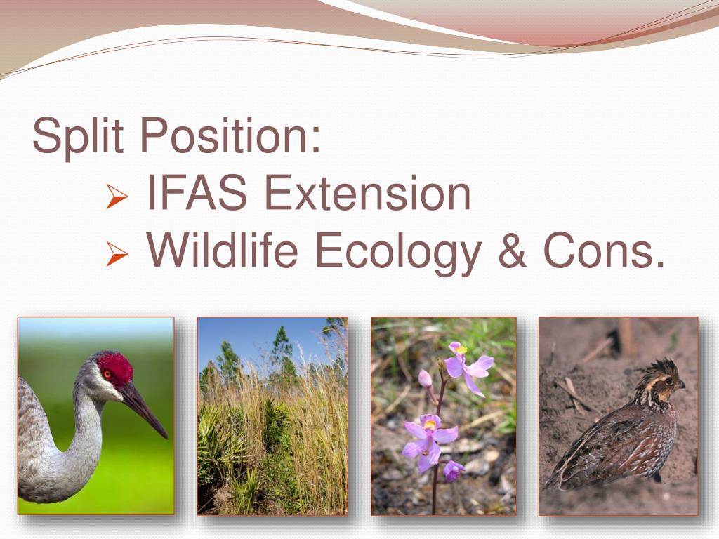 PPT - Emma Willcox Regional Specialized Agent- Wildlife PowerPoint ...