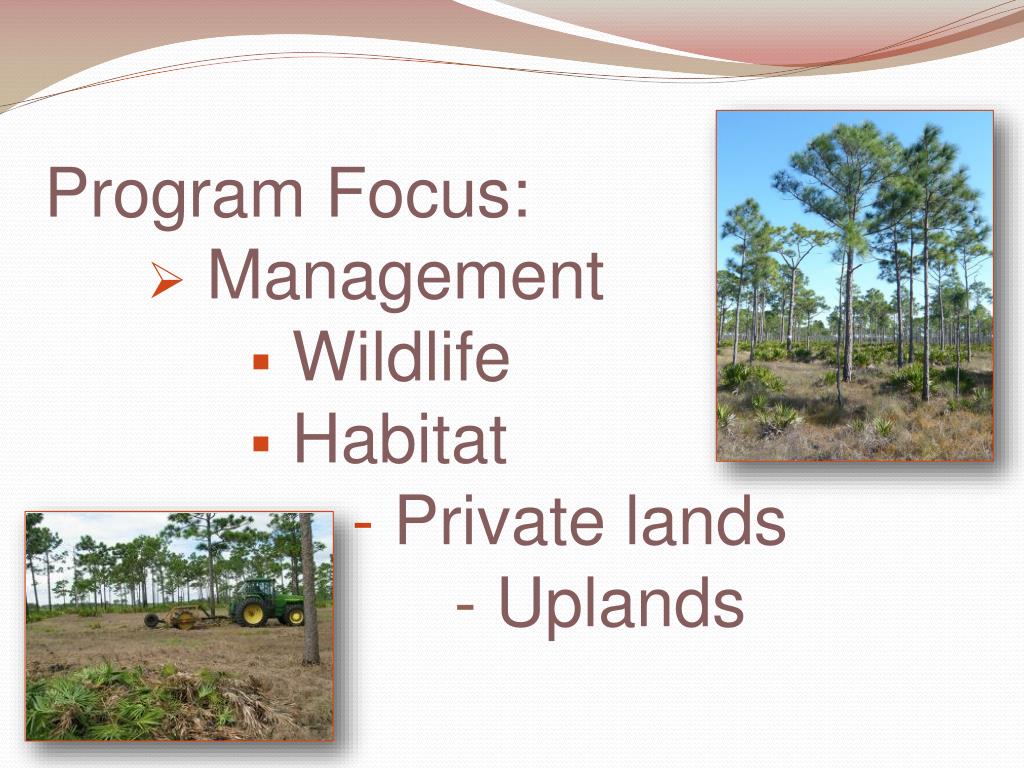 PPT - Emma Willcox Regional Specialized Agent- Wildlife PowerPoint ...