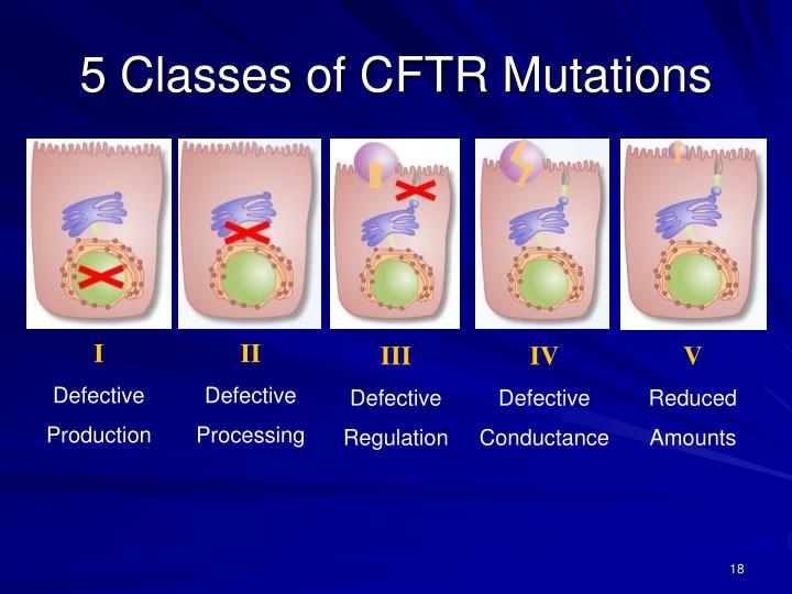PPT - The genetics of cystic fibrosis PowerPoint Presentation - ID:2896733