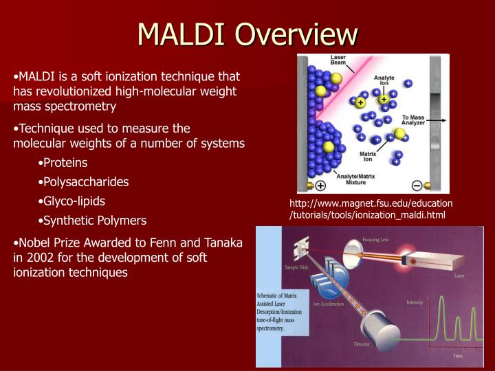 PPT - Mechanism of Ionization in Matrix-Assisted Laser Desorption ...