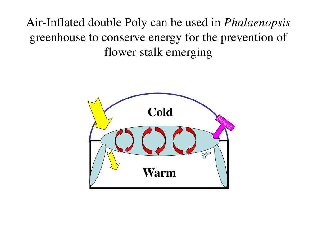 PPT - Story of the double poly greenhouse PowerPoint Presentation, free ...