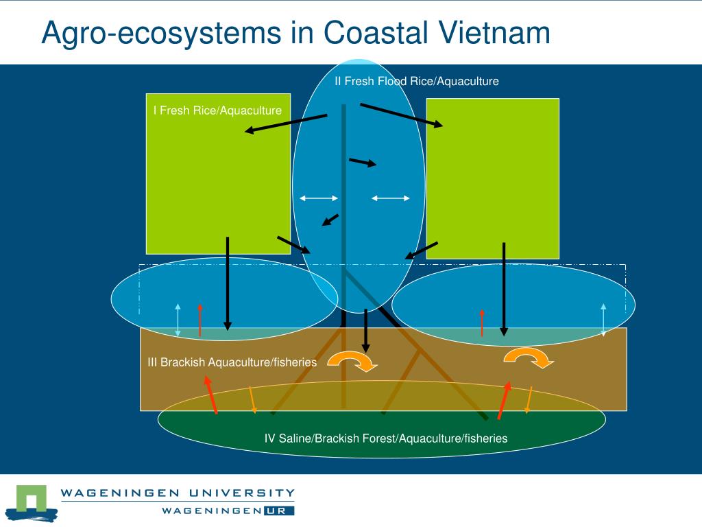 PPT - Strategic Management of Multiple Ecosystem Services in Coastal ...