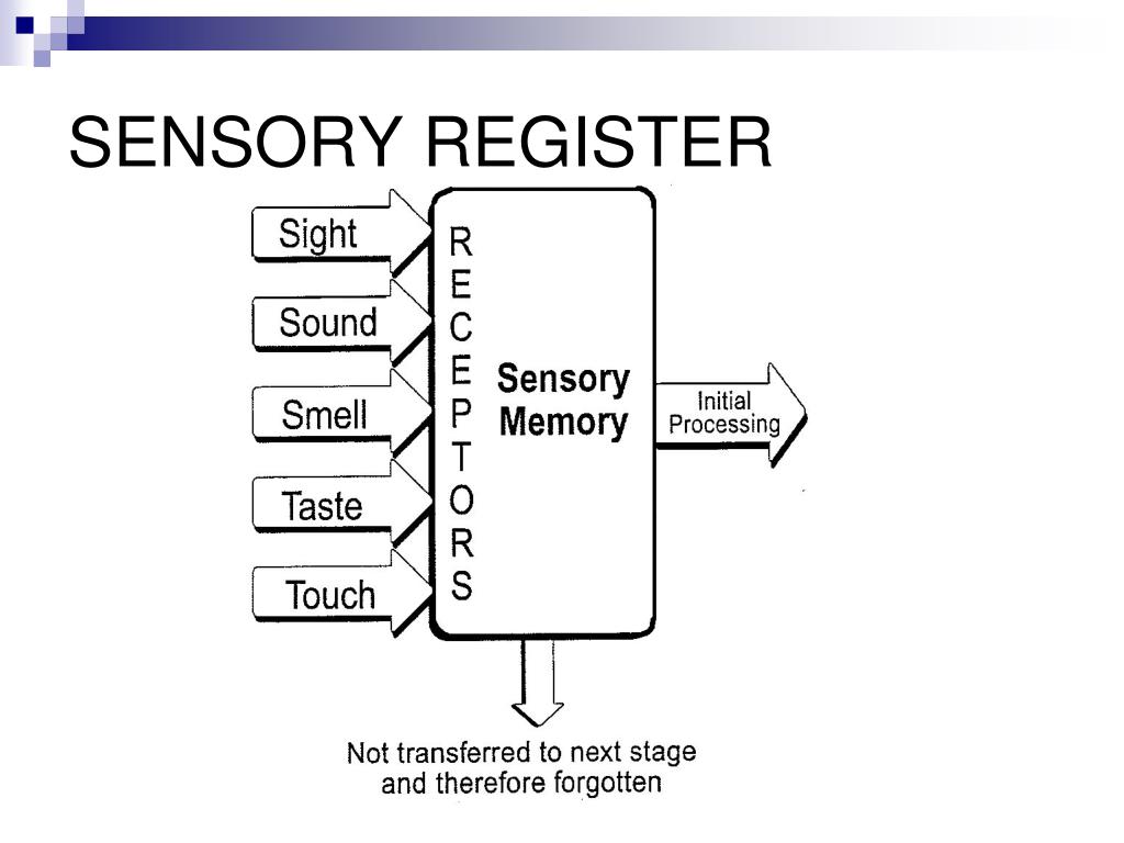 PPT - MEMORY PowerPoint Presentation, free download - ID:2897868
