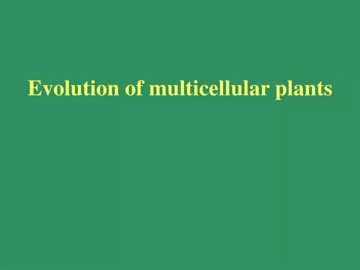 PPT - Evolution of multicellular plants PowerPoint Presentation, free ...