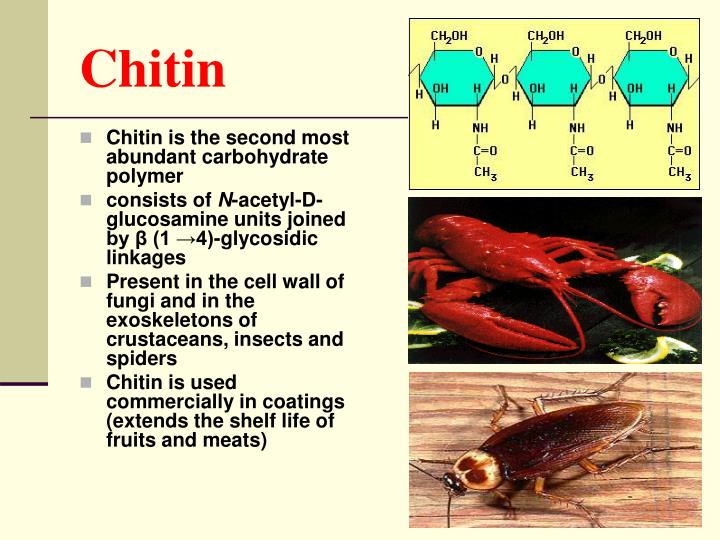PPT - Carbohydrates of physiological significance PowerPoint ...