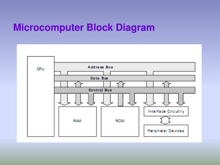 PPT - Microprocessor and Assembly Language PowerPoint Presentation - ID:2911213