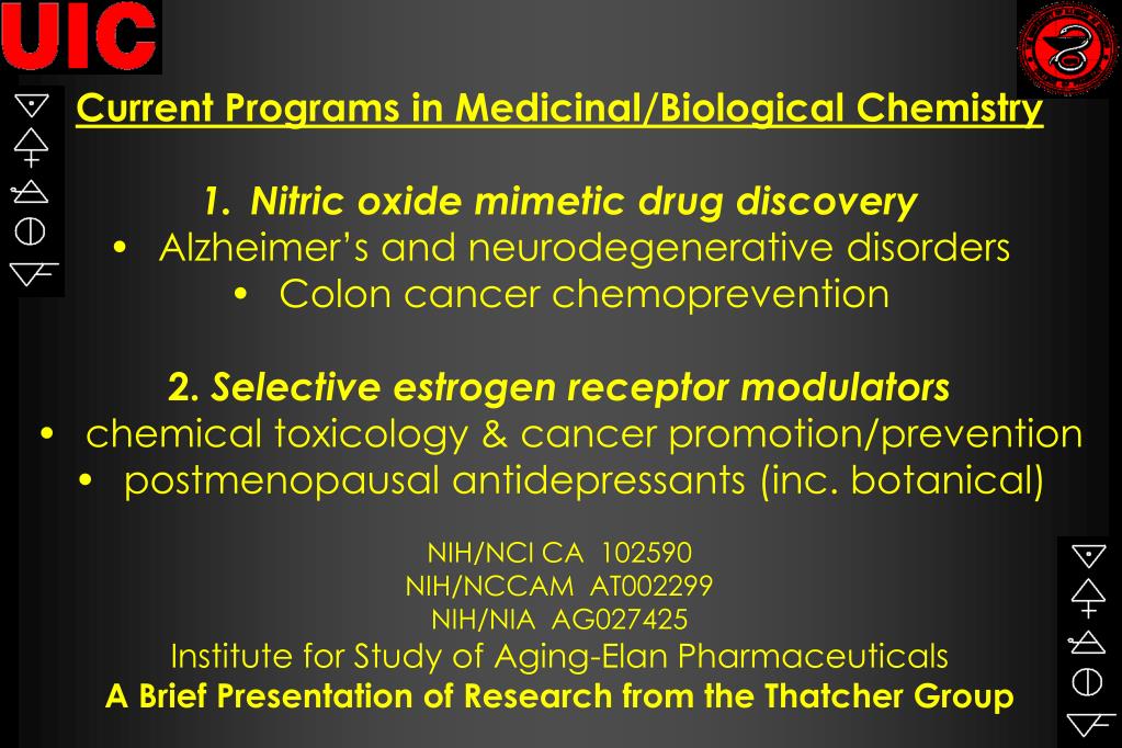 PPT - Current Programs in Medicinal/Biological Chemistry Nitric oxide ...