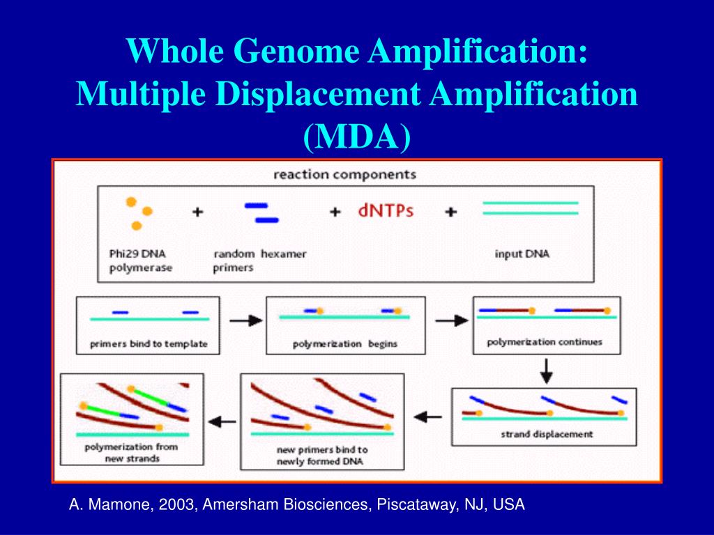 PPT - Jenna McLuskey Edinburgh Molecular Genetics Service PowerPoint ...