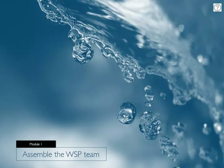 PPT - Module 1 Assemble the WSP team PowerPoint Presentation, free ...