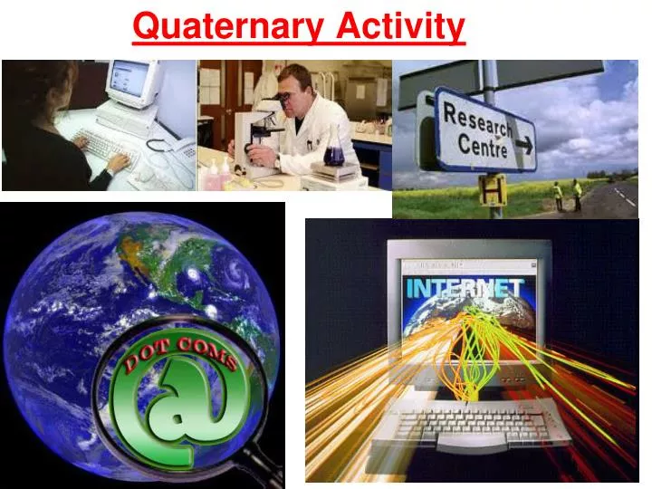 PPT - Quaternary Activity PowerPoint Presentation, free download - ID ...