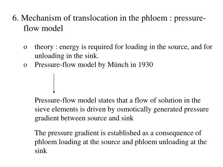 PPT - 6. Mechanism of translocation in the phloem : pressure-flow model ...