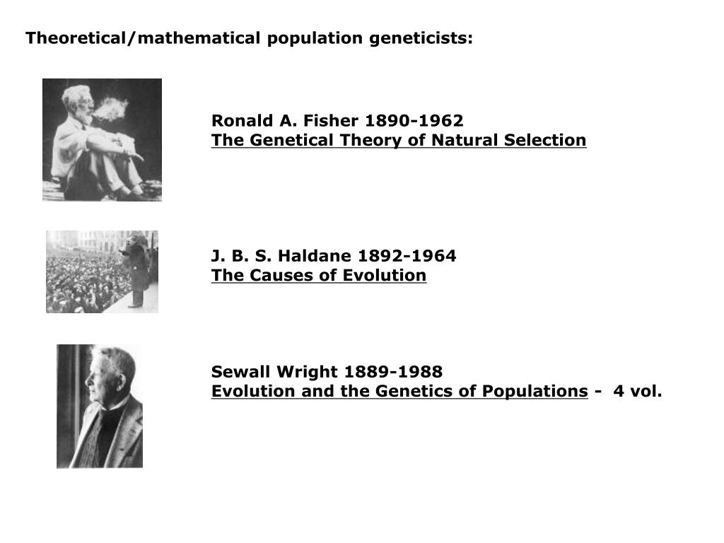 PPT - Chapter 21 - Population genetics (part 1) : PowerPoint ...