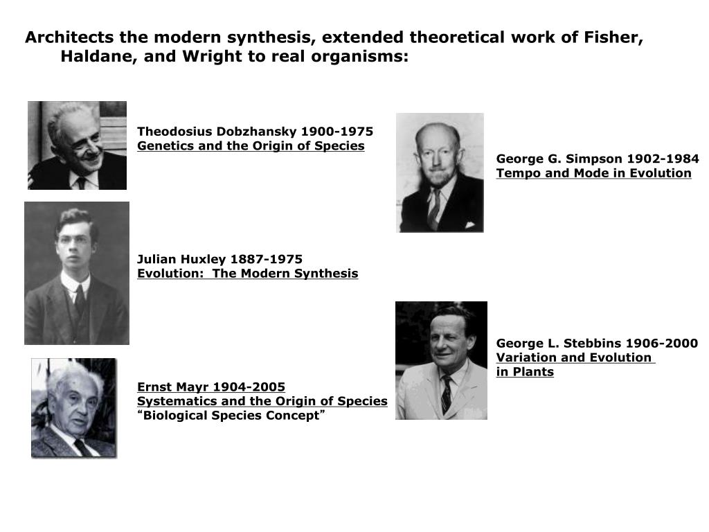 PPT - Chapter 21 - Population genetics (part 1) : PowerPoint ...