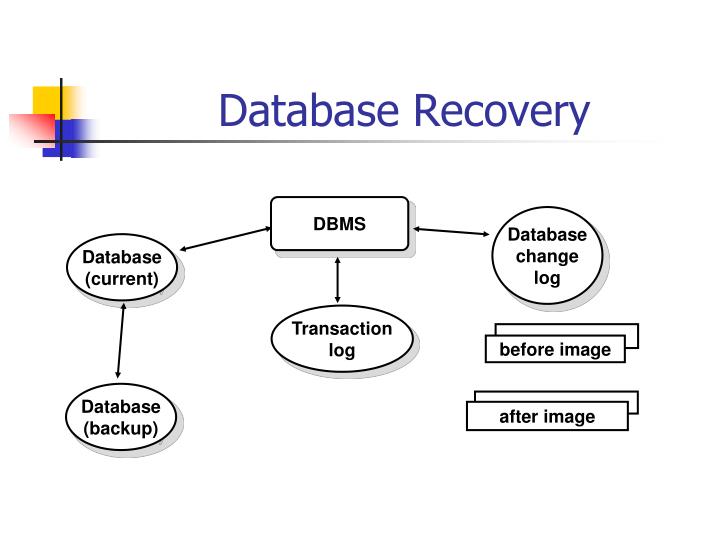 PPT - A E-R Model for Online Flower Store PowerPoint Presentation - ID ...