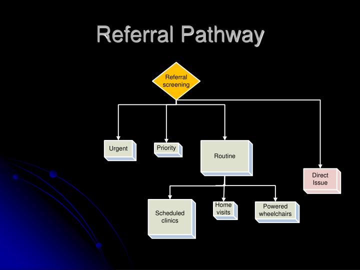 PPT - Assessment and Patient Pathways PowerPoint Presentation - ID:2914204