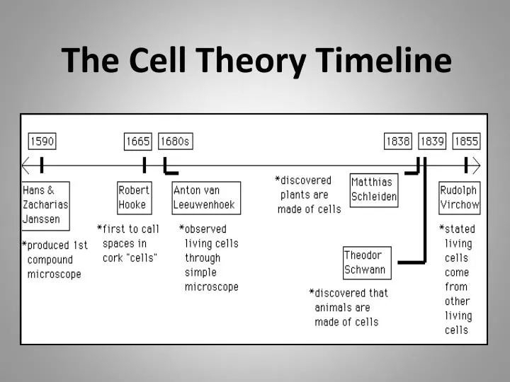 PPT The Cell Theory Timeline PowerPoint Presentation Free Download