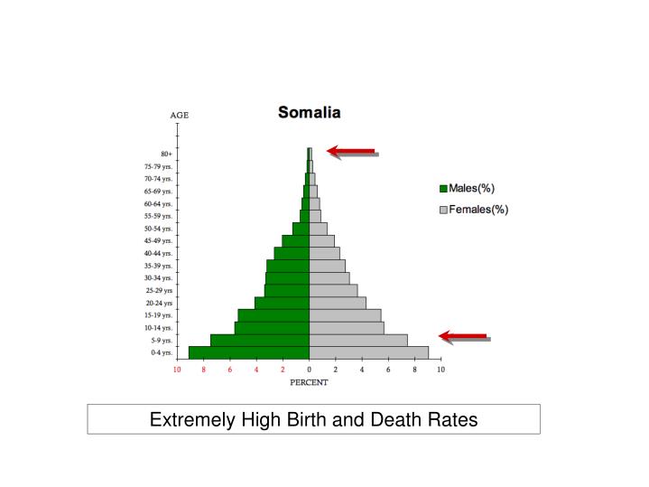 PPT - Understanding Population Pyramids PowerPoint Presentation - ID ...