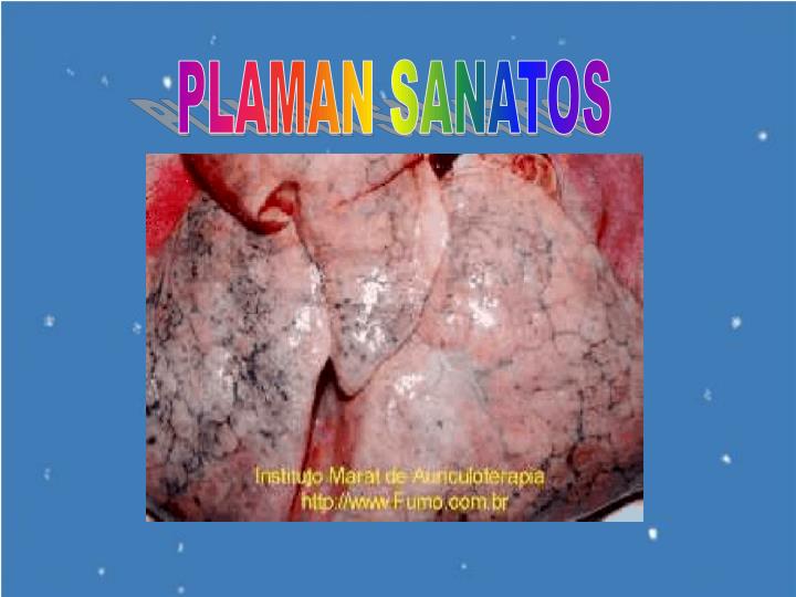 PPT - CORPUL OMENESC - ORGANE INTERNE PowerPoint Presentation - ID:2914730