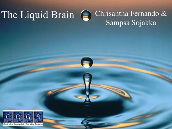 PPT - The Liquid Brain PowerPoint Presentation, free download - ID:2914954