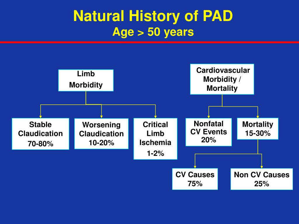 PPT - Peripheral Arterial Disease Guidelines: Management of Patients ...