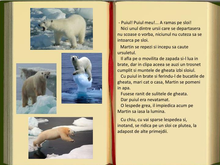 PPT - ” POVESTEA URSULUI CAFENIU” PowerPoint Presentation - ID:2919101