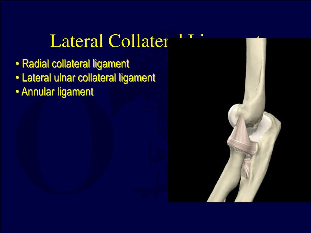 PPT - Surgical Approaches for “ Terrible Triad ” Fracture-Dislocations ...