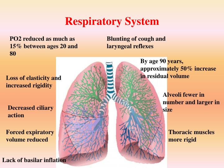 PPT - Normal Changes of Aging PowerPoint Presentation - ID:2921435