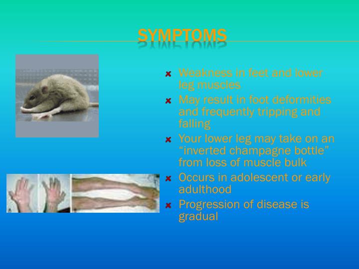 PPT - Charcot-Marie-Tooth Disease PowerPoint Presentation - ID:2921462