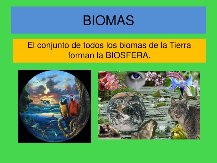 PPT - ECOSISTEMAS II Biomas.Biodiversidad. PowerPoint Presentation - ID ...