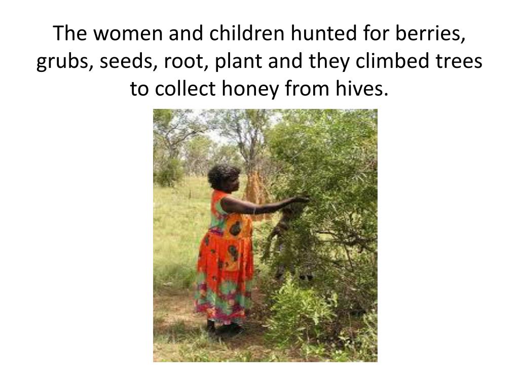 Ppt Aboriginal People Powerpoint Presentation Free Download Id 2922730