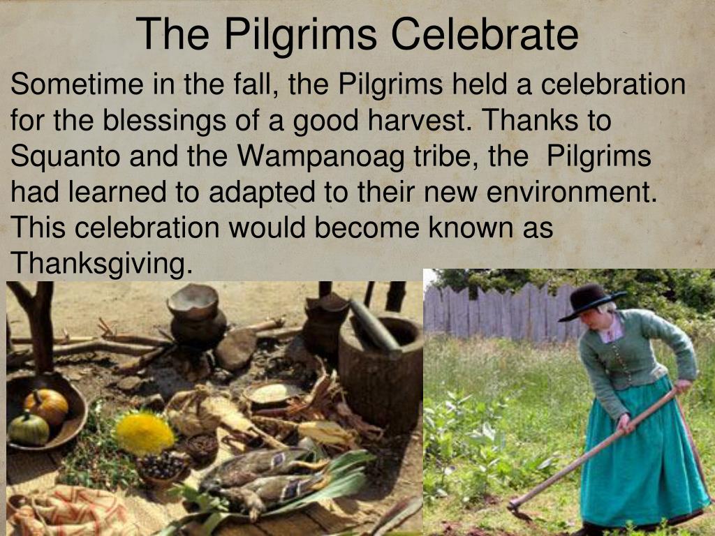 PPT - The Pilgrims and the Plymouth colony of 1620 PowerPoint ...