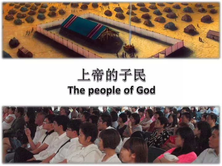 PPT - 上帝的子民 The people of God PowerPoint Presentation, free download ...