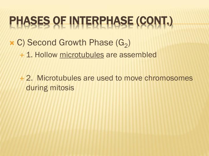 PPT - Plant Cell Structure and Cell Processes PowerPoint Presentation ...