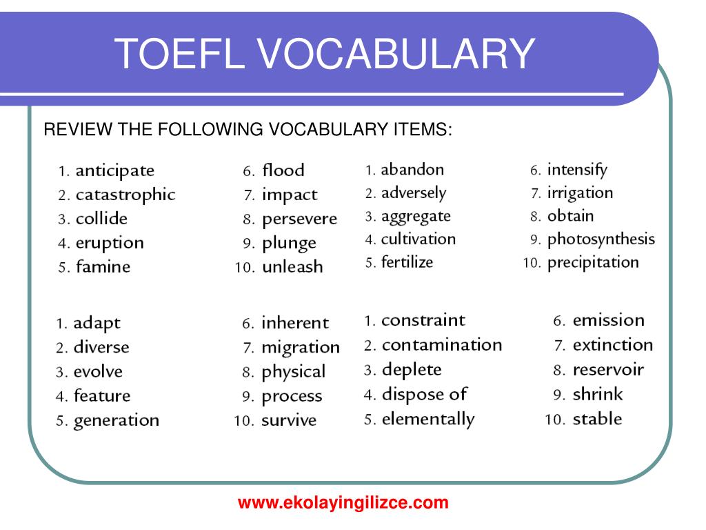 PPT - TOEFL VOCABULARY 16 PowerPoint Presentation, free download - ID ...