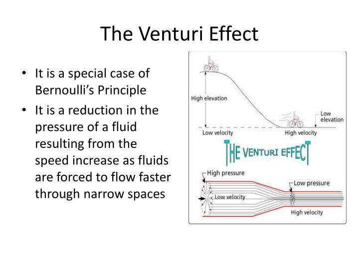 PPT - Bernoulli’s Principle PowerPoint Presentation - ID:2923772