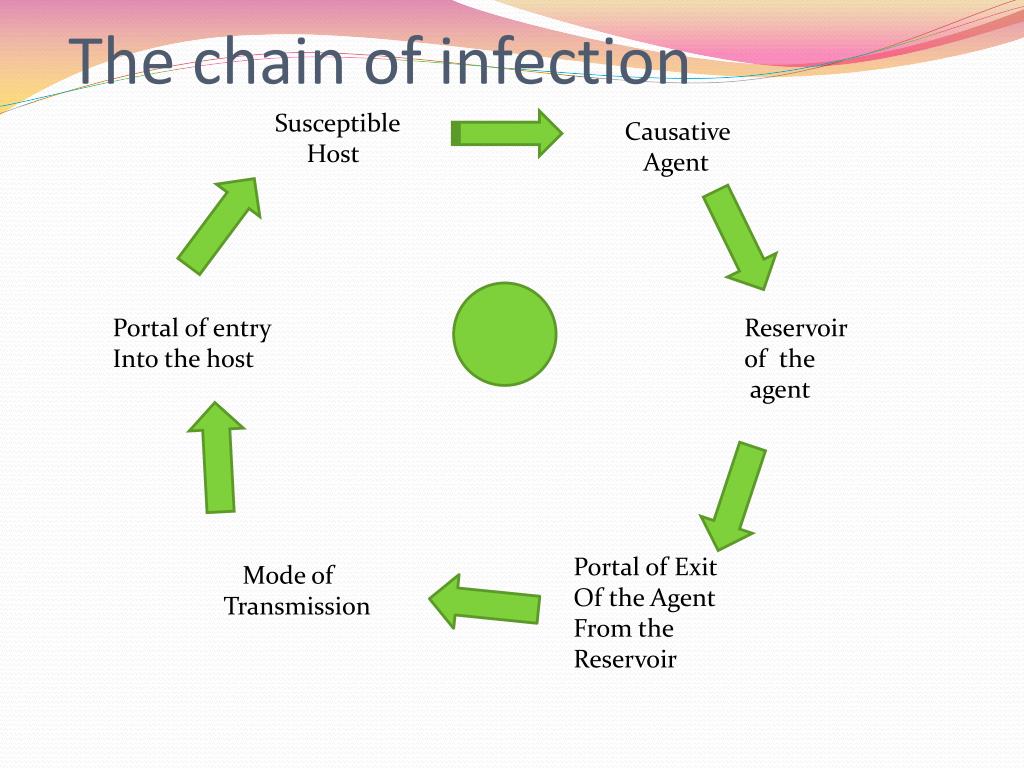 Reservoir Examples Chain Of Infection at Thomas Ogle blog Reservoir Examples Chain Of Infection at Thomas Ogle blog