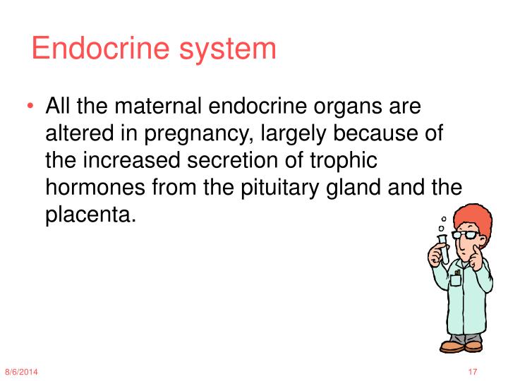 PPT - The changing body in pregnancy PowerPoint Presentation - ID:2924100