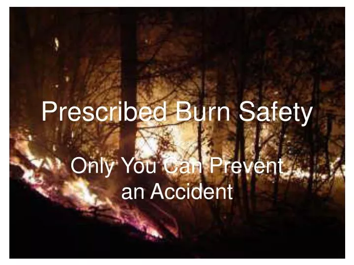 PPT - Prescribed Burn Safety PowerPoint Presentation, free download ...