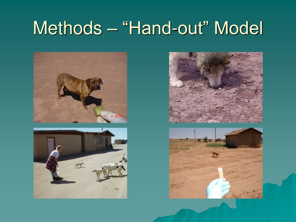 PPT - David Bergman Scott Bender Krista Wenning Dennis Slate Chuck ...