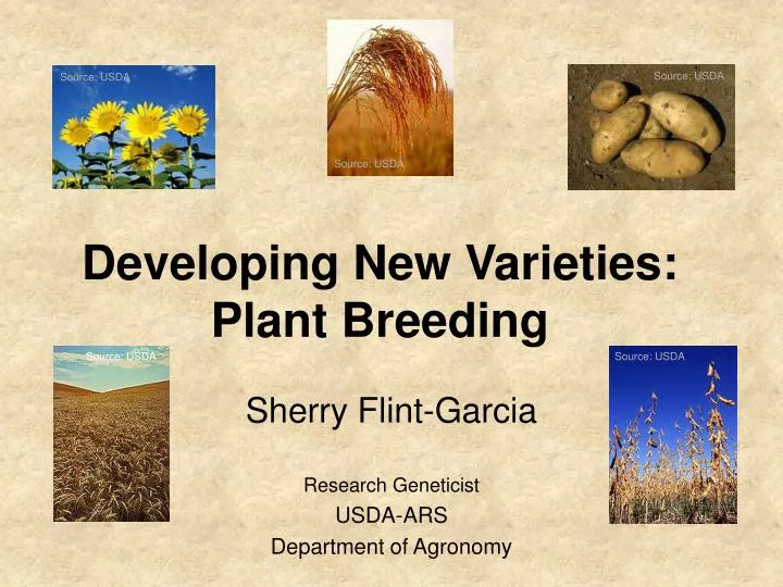 PPT - Developing New Varieties: Plant Breeding PowerPoint Presentation ...
