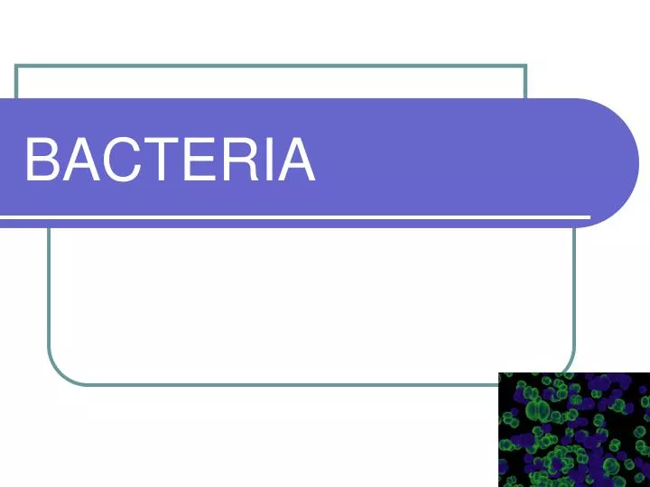 PPT - BACTERIA PowerPoint Presentation, free download - ID:2924652